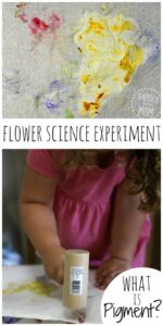 Flower Science Experiments