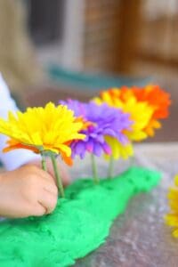Flower Sensory Activities