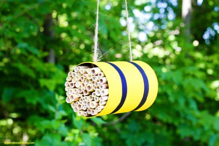 Bee Science Activities for Preschoolers: Exciting Hands-On Fun