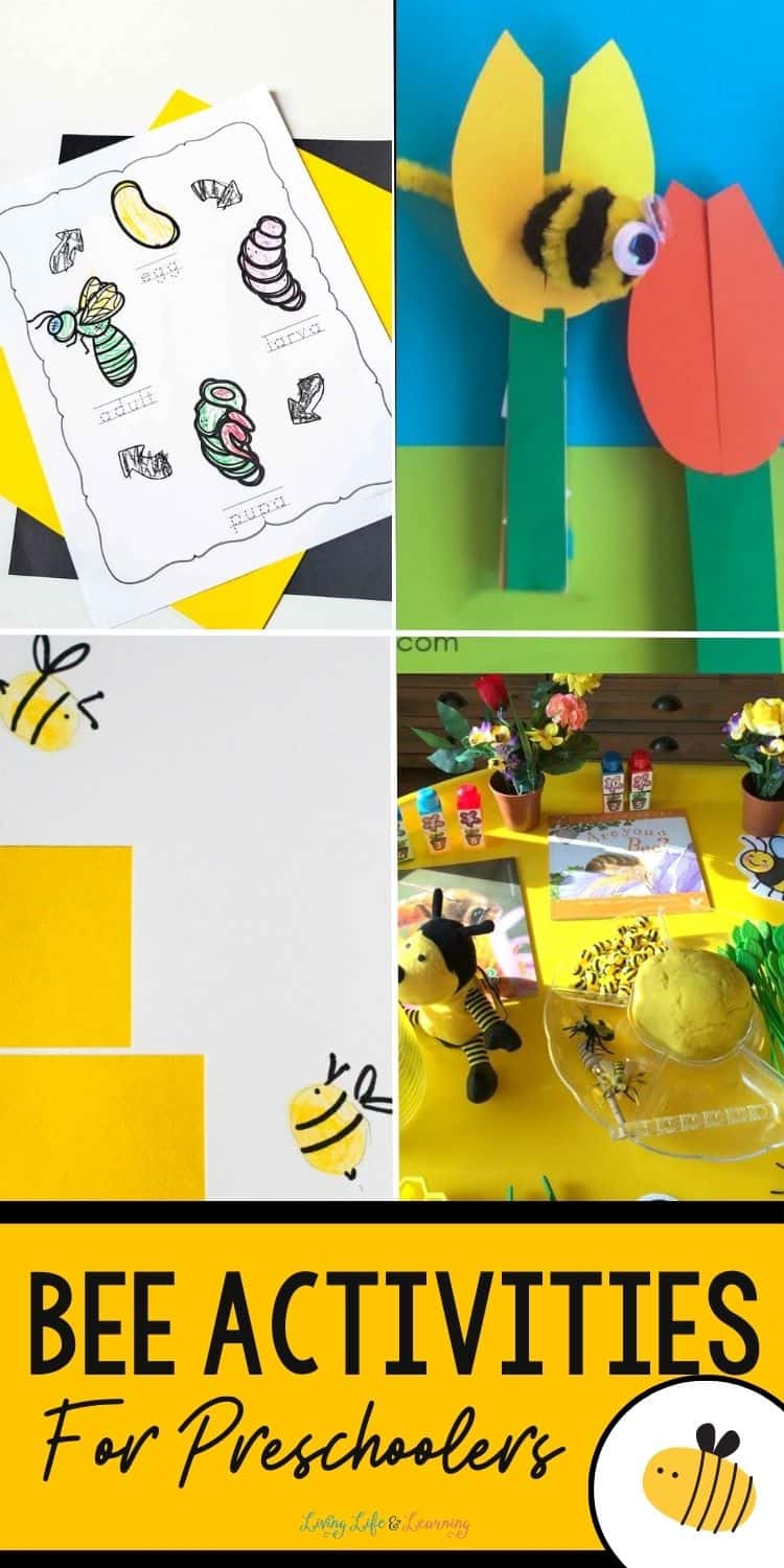 Bee Activities for Preschoolers
