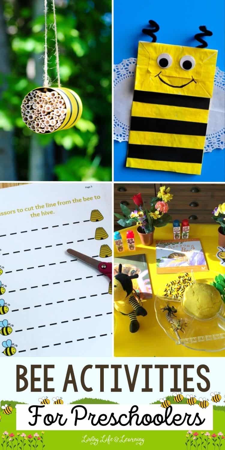 Bee Activities for Preschoolers