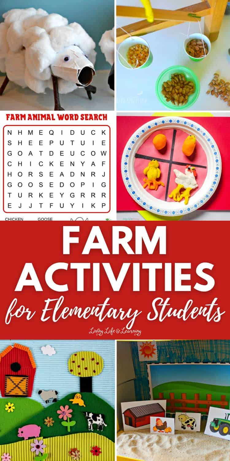Farm Activities for Elementary Students