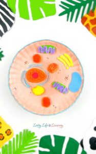 Paper Plate Animal Cell Craft: Fun and Educational Activity for Kids