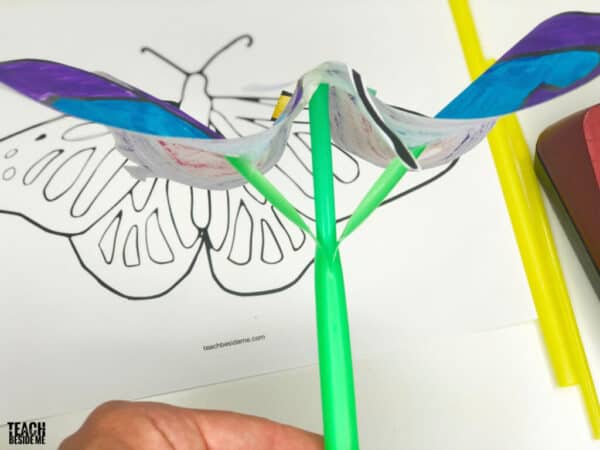 Butterfly Activities for Elementary Students