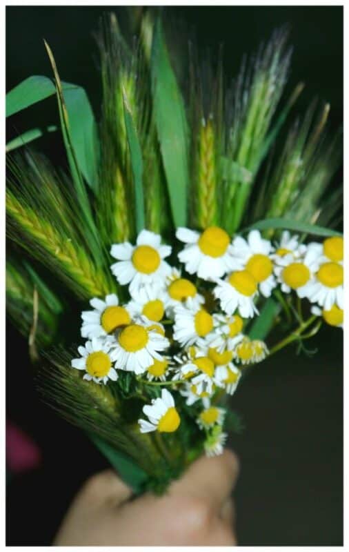 Flower Sensory Activities