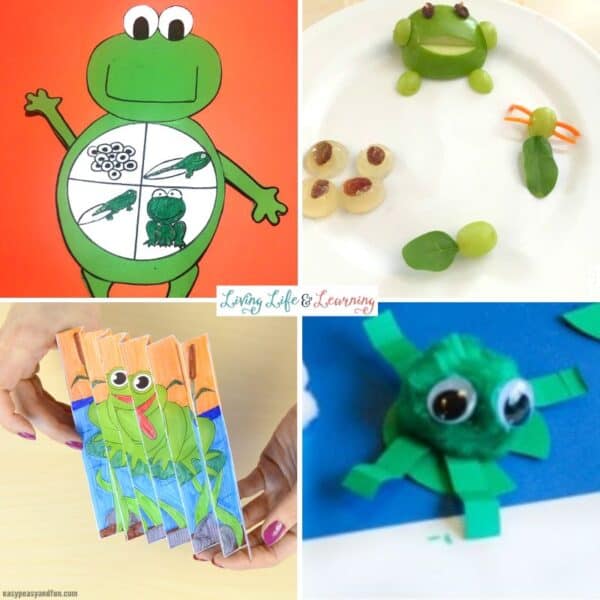 Frog Life Cycle Crafts