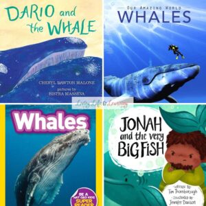 Whale Books for Preschoolers