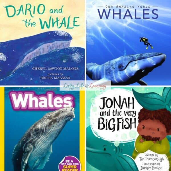 Whale Books for Preschoolers