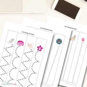 Cat Tracing Worksheets