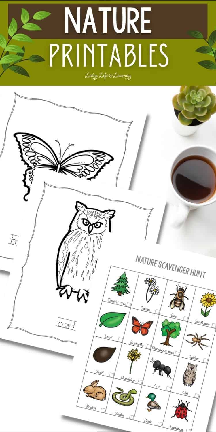 Nature Printables