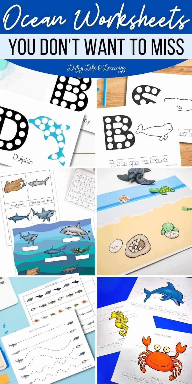 Ocean Worksheets You Don't Want to Miss