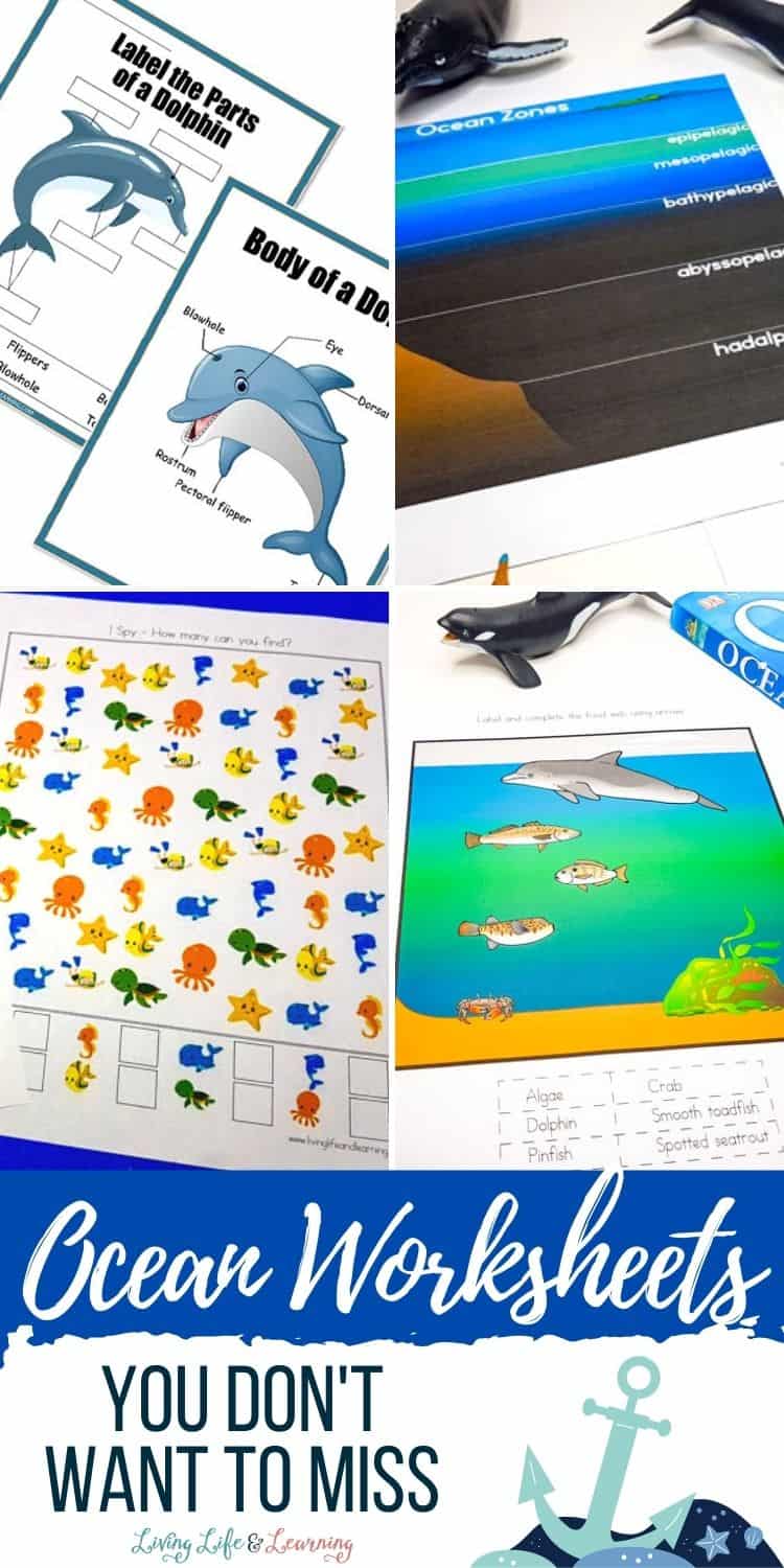 Ocean Worksheets You Don't Want to Miss