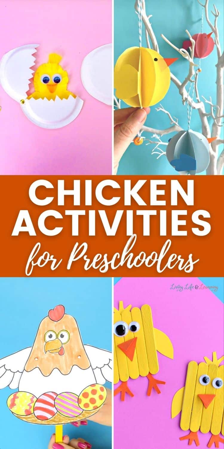 Chicken Activities for Preschoolers