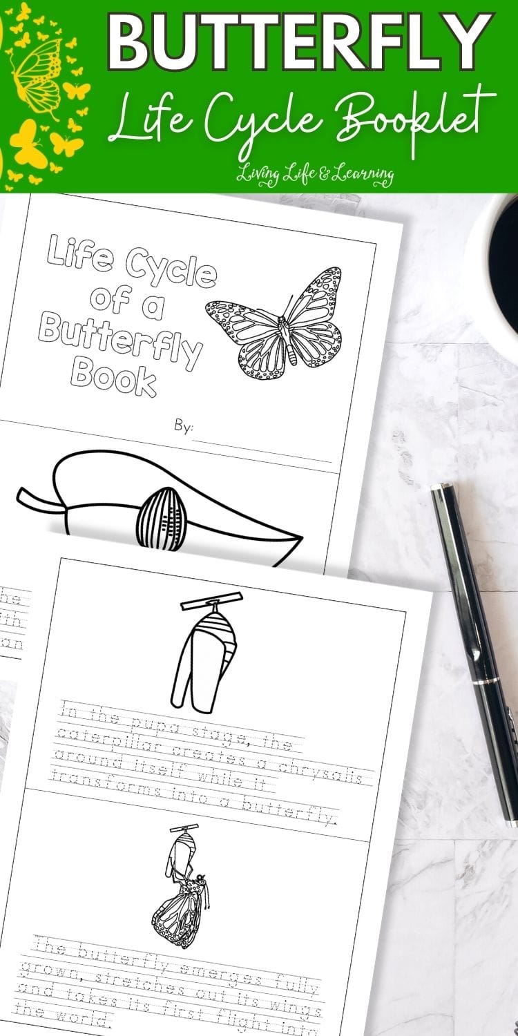 Butterfly Life Cycle Booklet