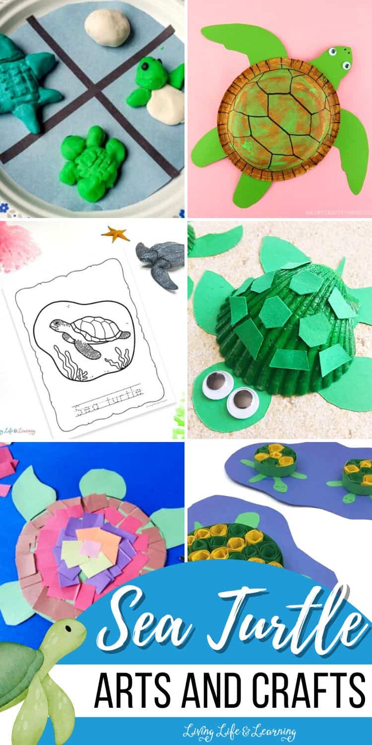 Sea Turtle Arts and Crafts