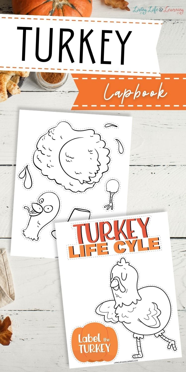 Turkey Lapbook