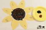 Sunflower Preschool Activities for Fun and Science