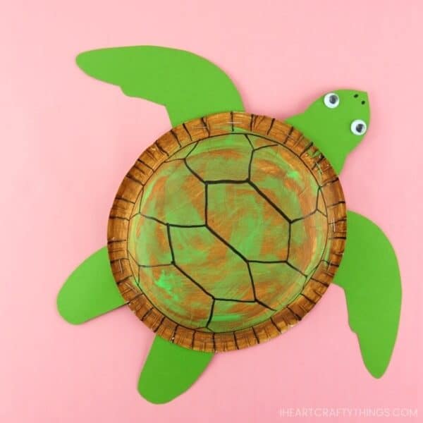 Sea Turtle Arts and Crafts