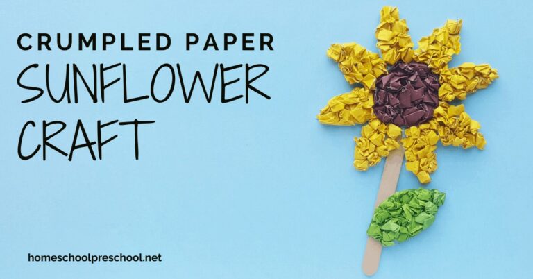 Sunflower Activities for Kindergarten
