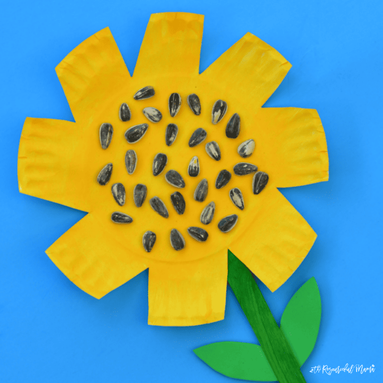 Sunflower Preschool Activities for Fun and Science