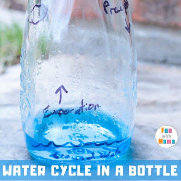 Water Cycle Activities for Kindergarten