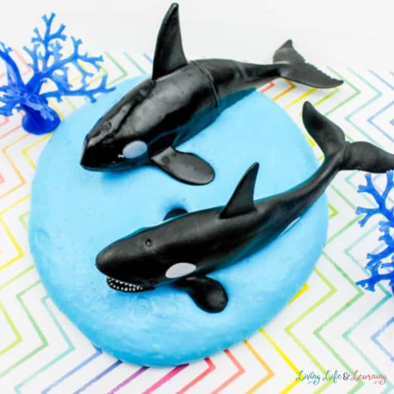 Ocean STEM Activities for Preschoolers and Hands-On Play