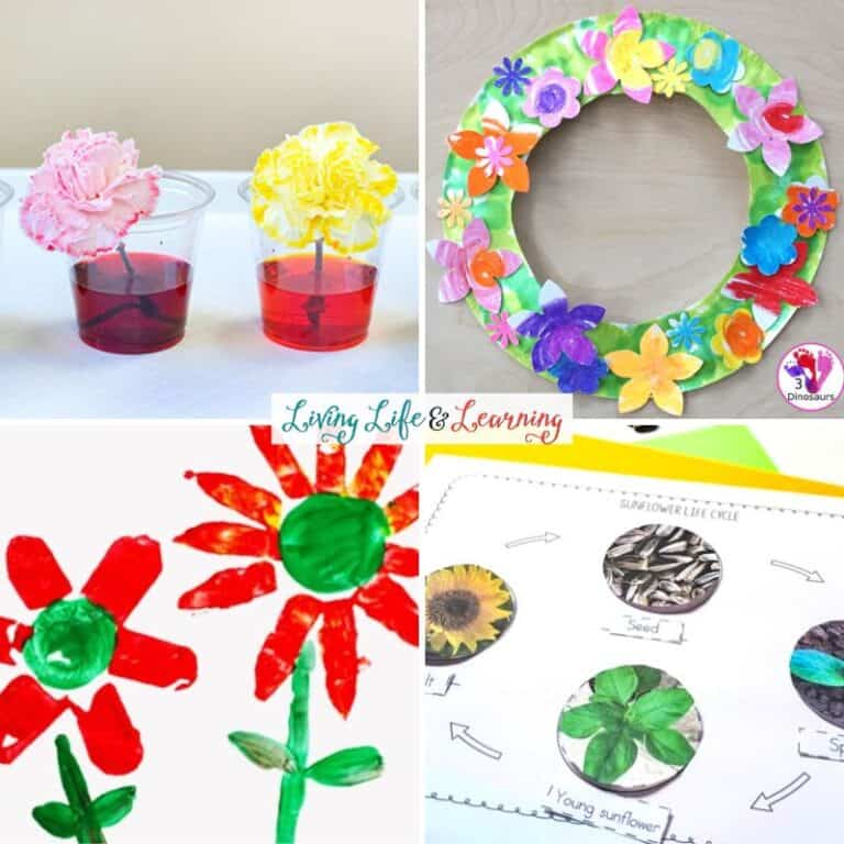 Flower Activities for Kindergarten