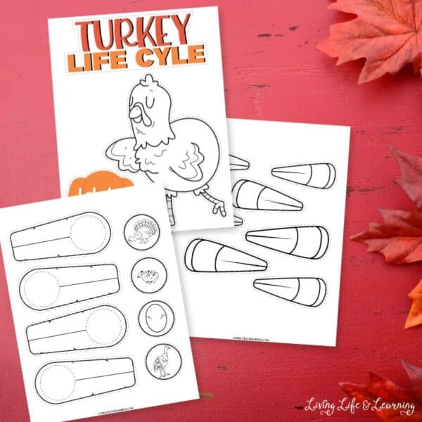 Turkey Lapbook