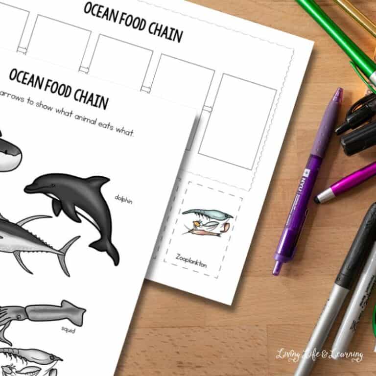 Ocean Animals Food Chain Printables
