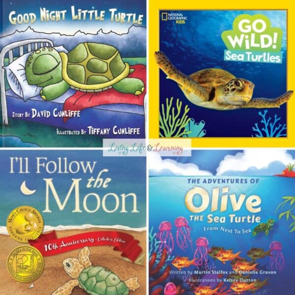 Sea Turtle Books for Kids
