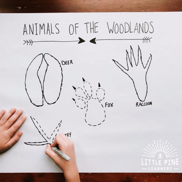 Camping STEM Activities