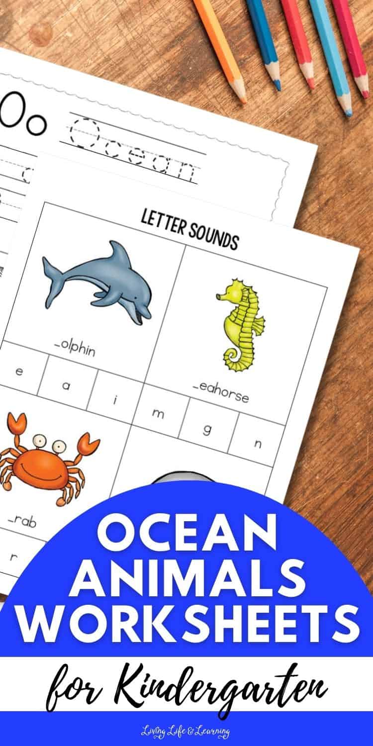 Ocean Animals Worksheets for Kindergarten