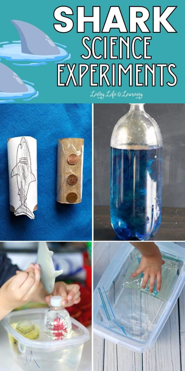 Shark Science Experiments