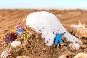 Beach Science Experiments for Summer Adventures