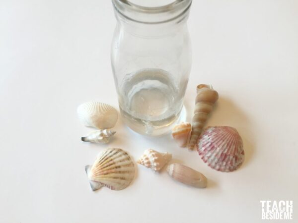 Beach Science Experiments for Summer Adventures