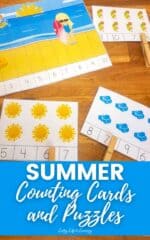 Summer Counting Cards and Puzzles