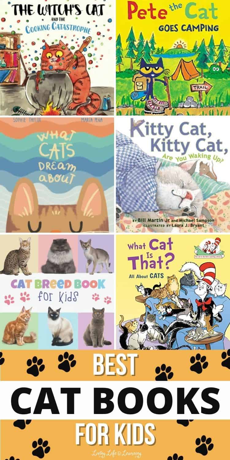 Best Cat Books for Kids