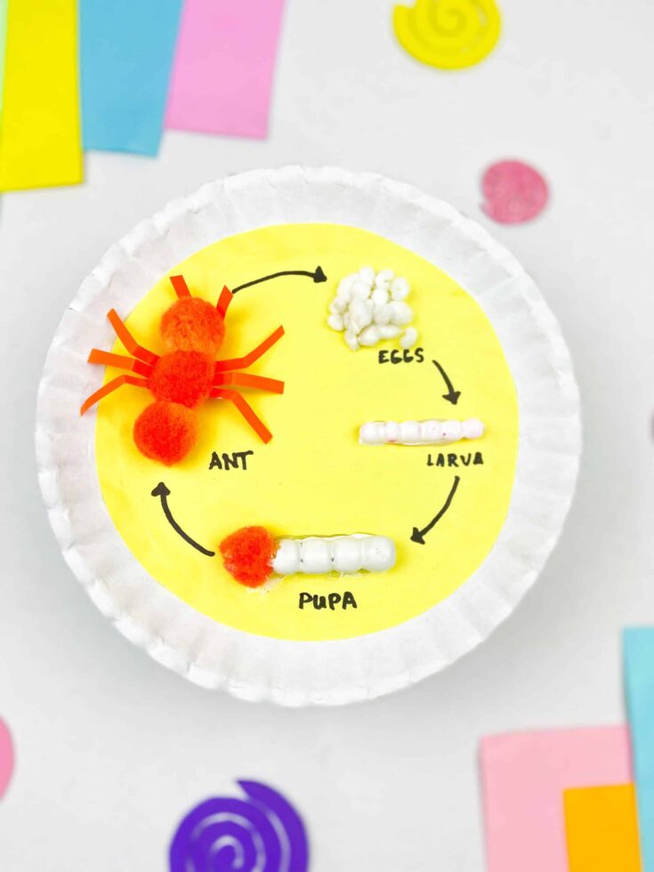 Engaging Ant STEM Activities for Kids to Explore Science Concepts