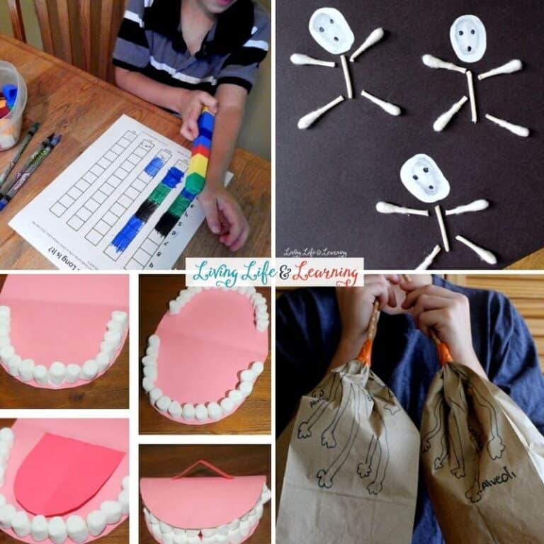 My Body Preschool Activities