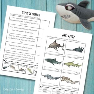 Types of Sharks Printables