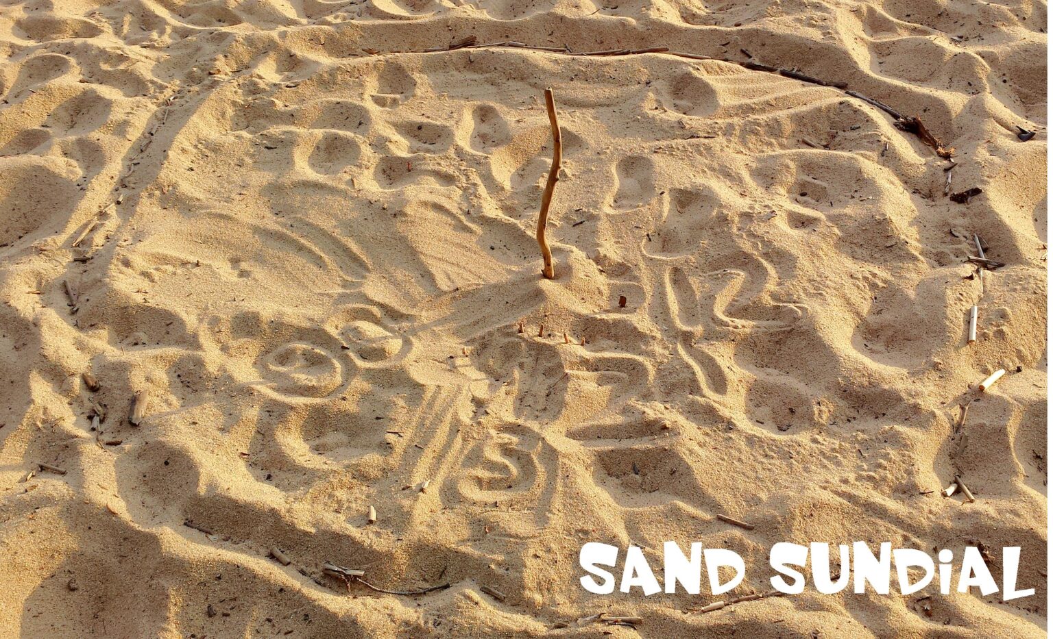 Beach STEM Activities
