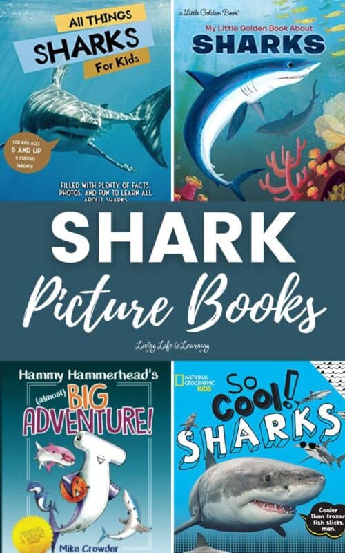 Shark Picture Books