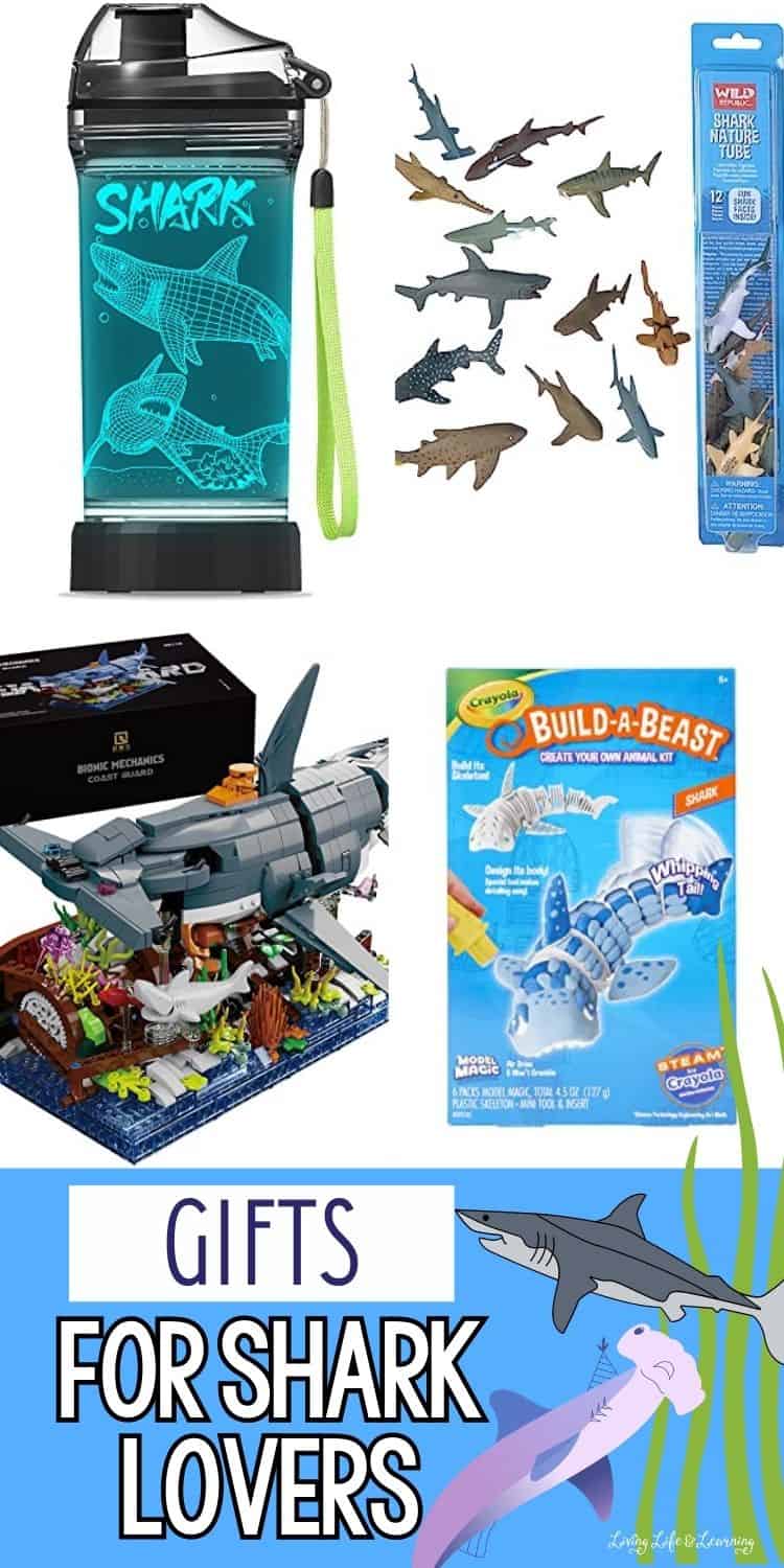 Gifts for Shark Lovers