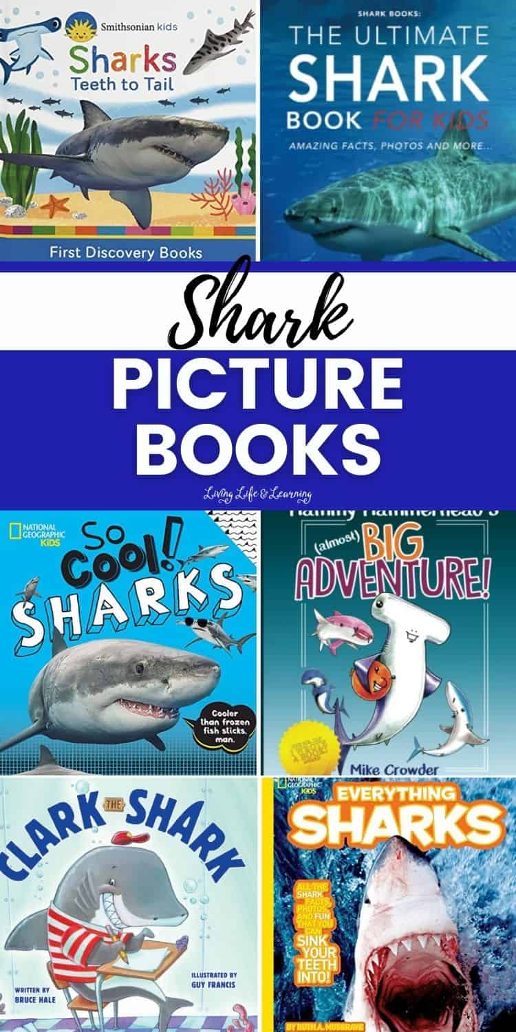 Shark Picture Books