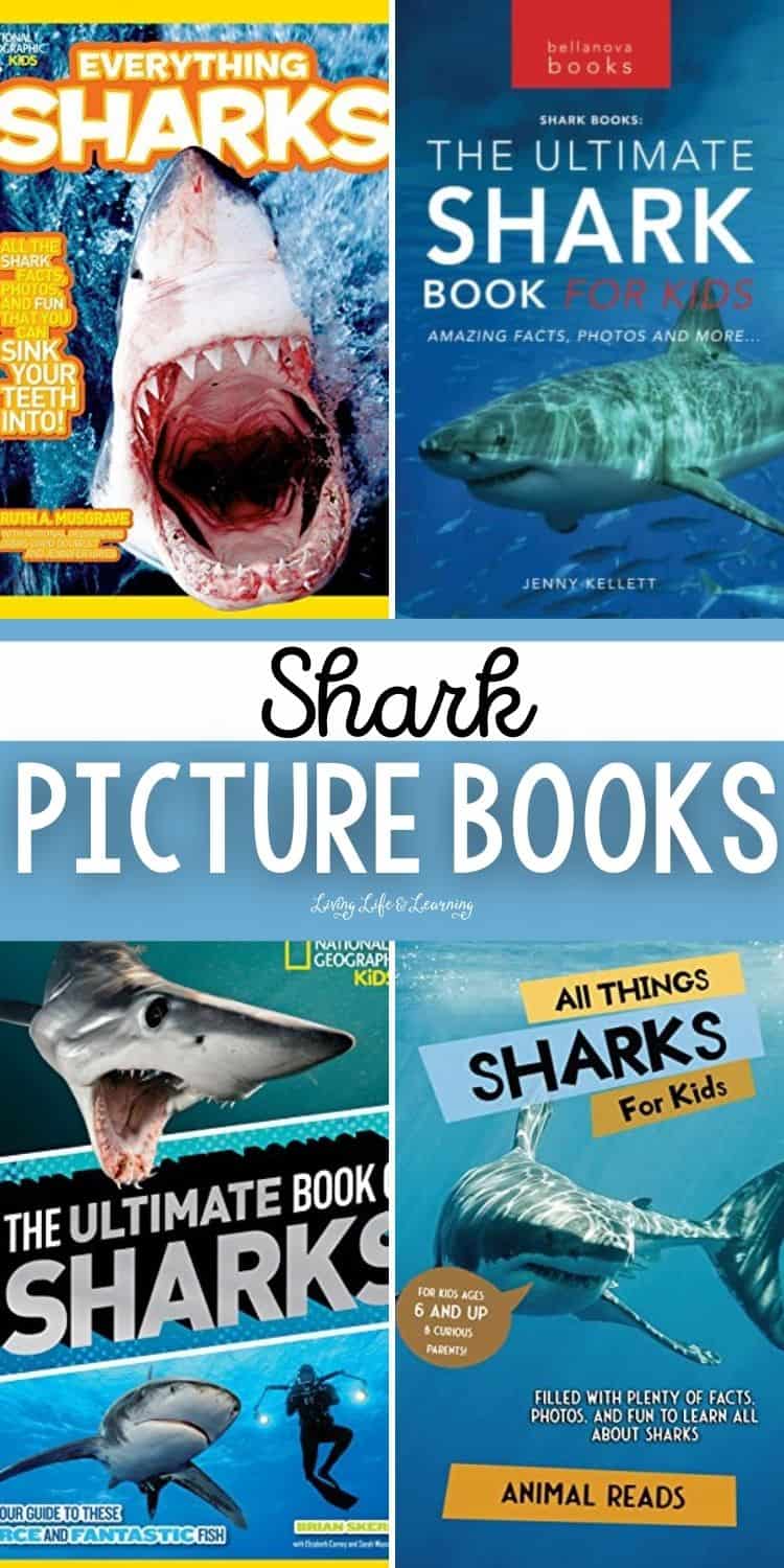 Shark Picture Books