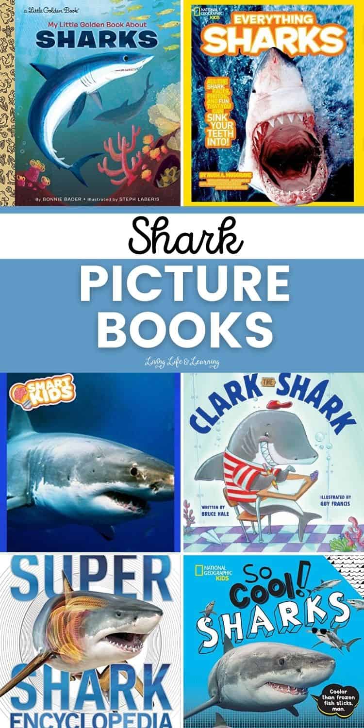 Shark Picture Books