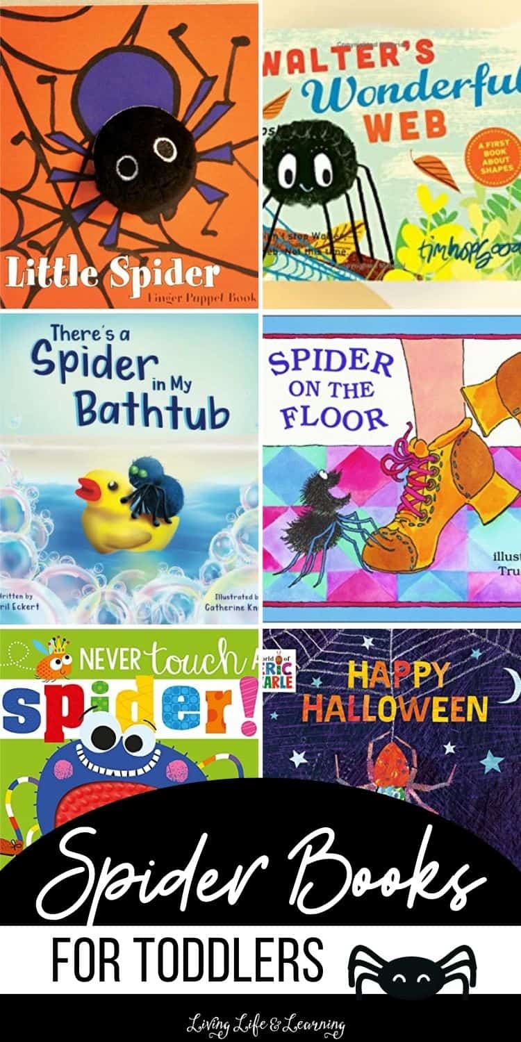 Spider Books for Toddlers