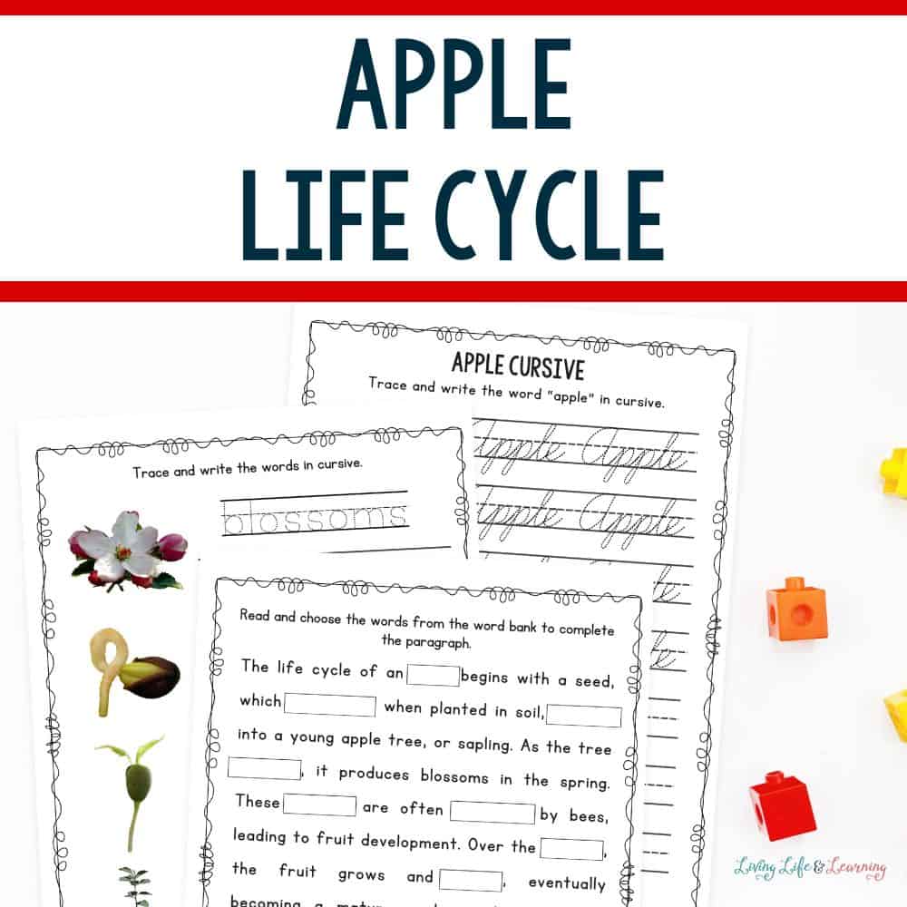 Apple Worksheets for Kindergarten