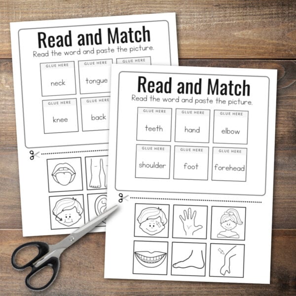 My Body Preschool Activities