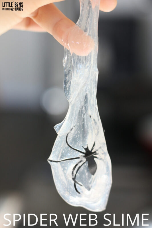 Spider Science Activities for Preschoolers